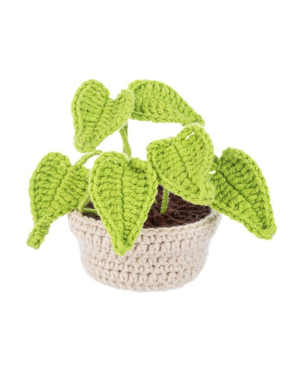 Crocheted Pothos House Plant | Spring Fling Collection | Personify ...
