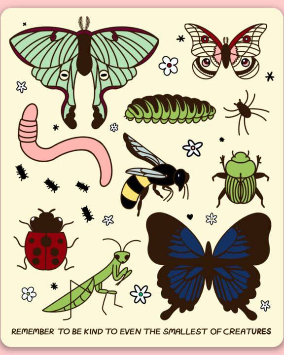 Smallest Creatures Sticker | Home Goods | Personify – Personify Shop