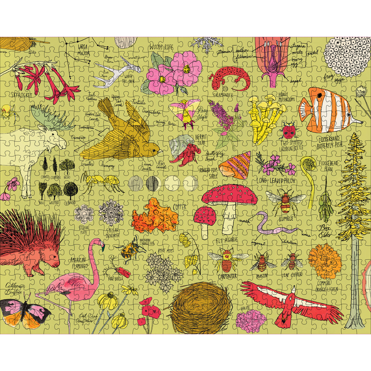 *RESTOCK* Nature Anatomy 500 Piece Puzzle | Home + Gifts | Personify ...